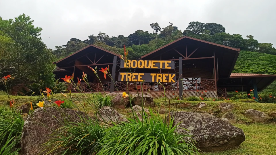 Boquete Tree Trek | ToutPanama