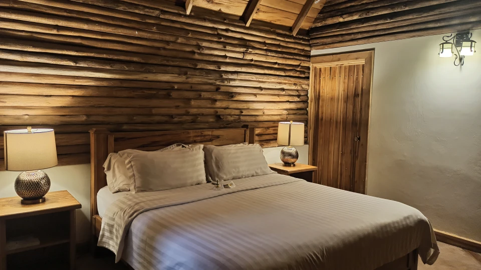 Boquete Tree Trek | ToutPanama