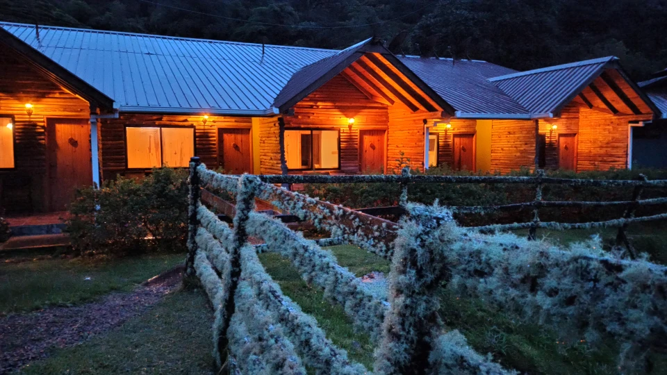 Boquete Tree Trek | ToutPanama