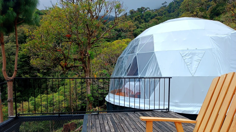 Boquete Tree Trek | ToutPanama